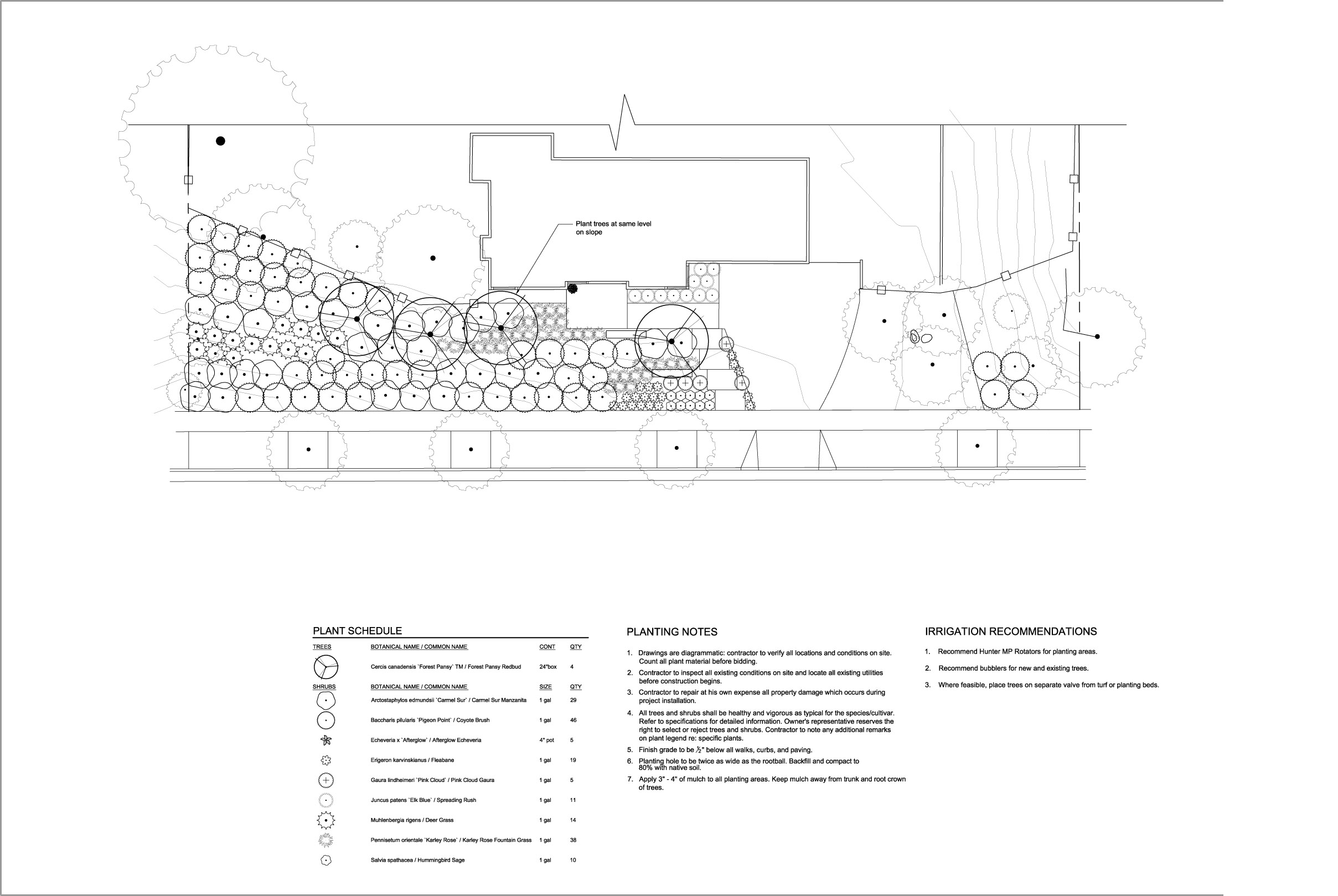What’s it like to work with a landscape architect? – June Scott Design