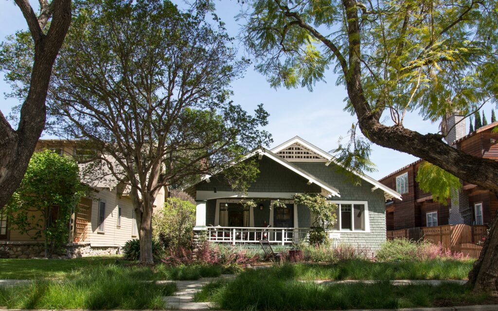 The Value of Planting Trees in Your Median Landscape – June Scott Design
